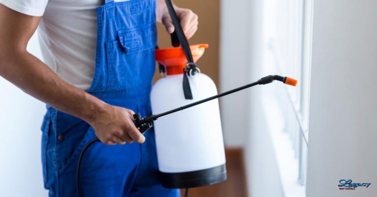 Support Local Pest Control Company : Small Business Saturday